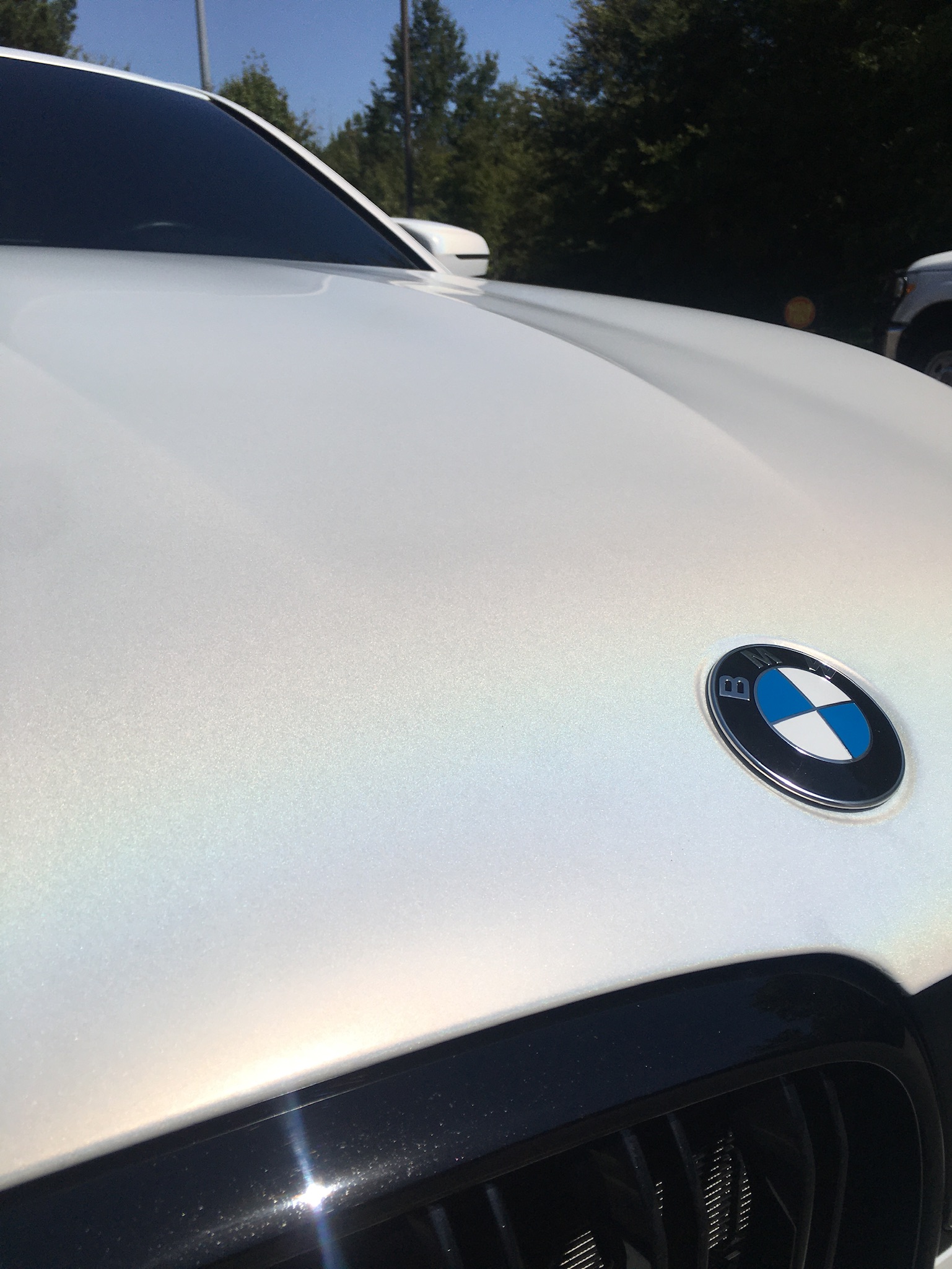 The Wrap Shop & Co - Vehicle fleet, commercial & mural wraps